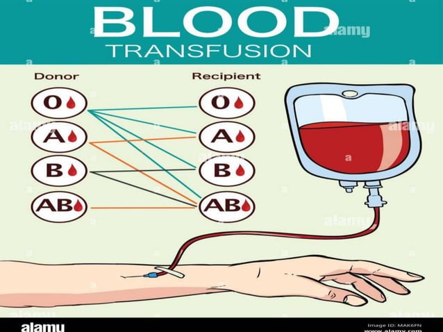 Blood Banking hematology lectures. pptx | PPTX