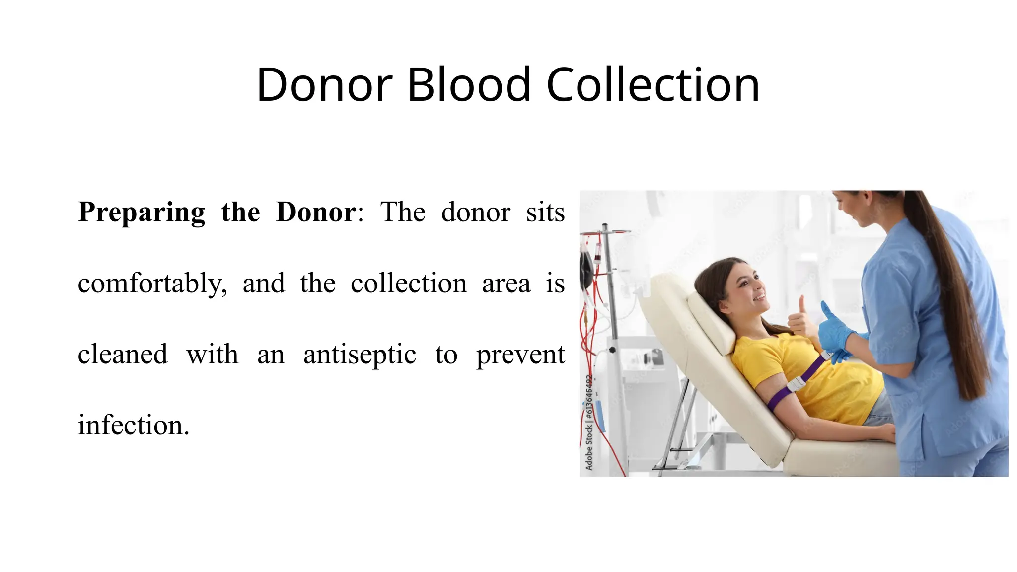 Comprehensive Overview of Blood Bank Operations: Exploring Blood ...