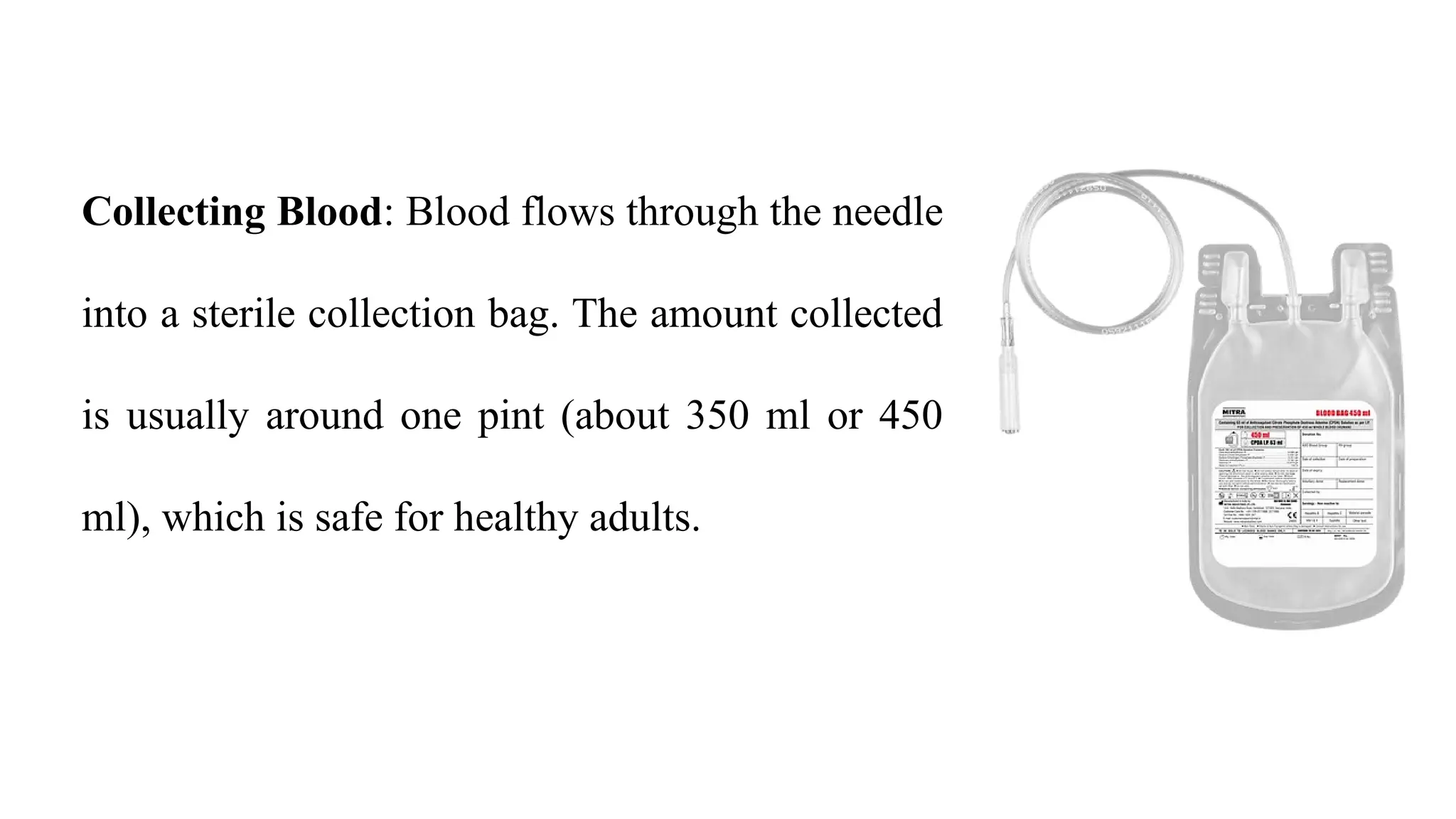 Comprehensive Overview of Blood Bank Operations: Exploring Blood ...