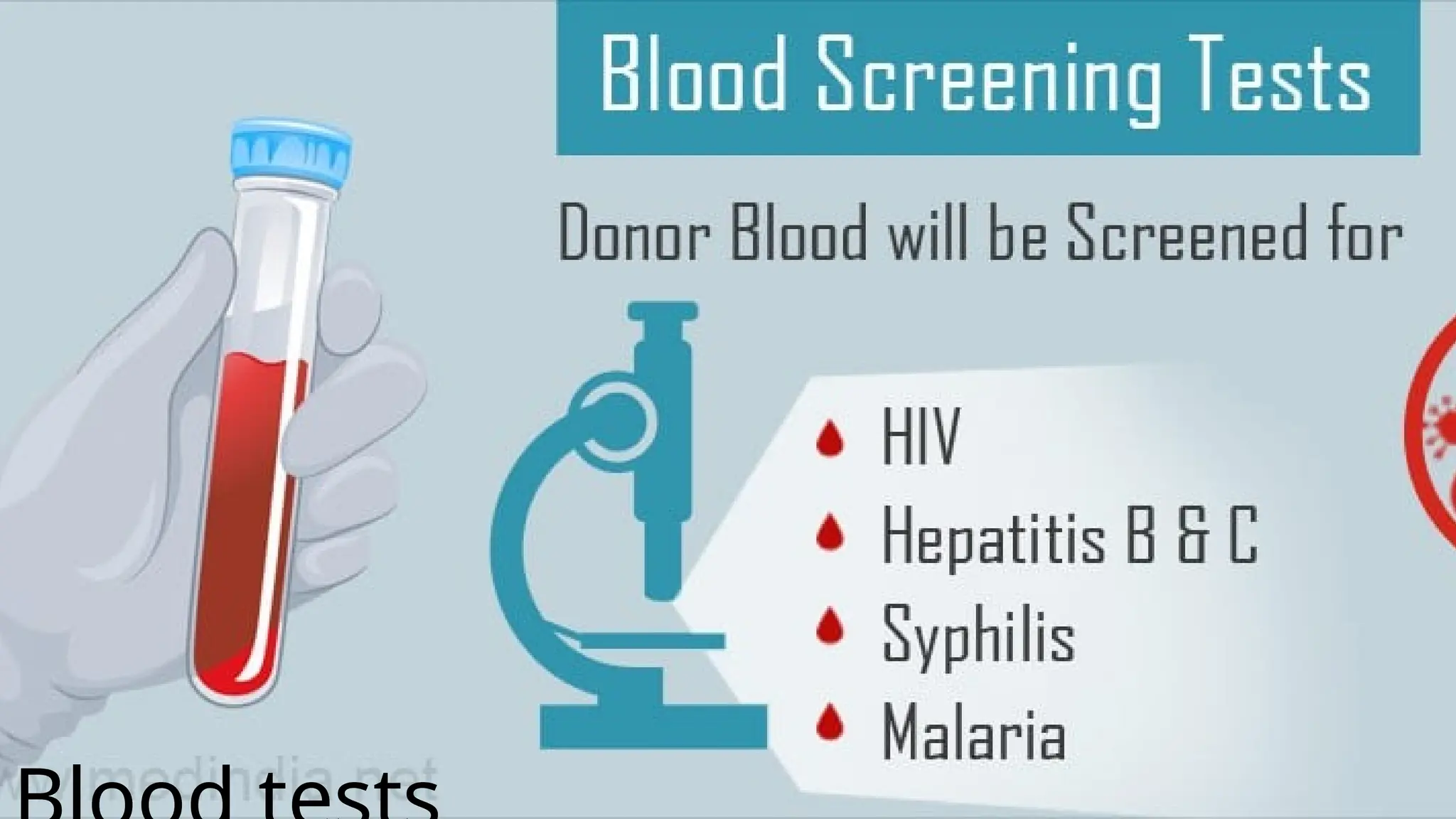 Comprehensive Overview of Blood Bank Operations: Exploring Blood ...