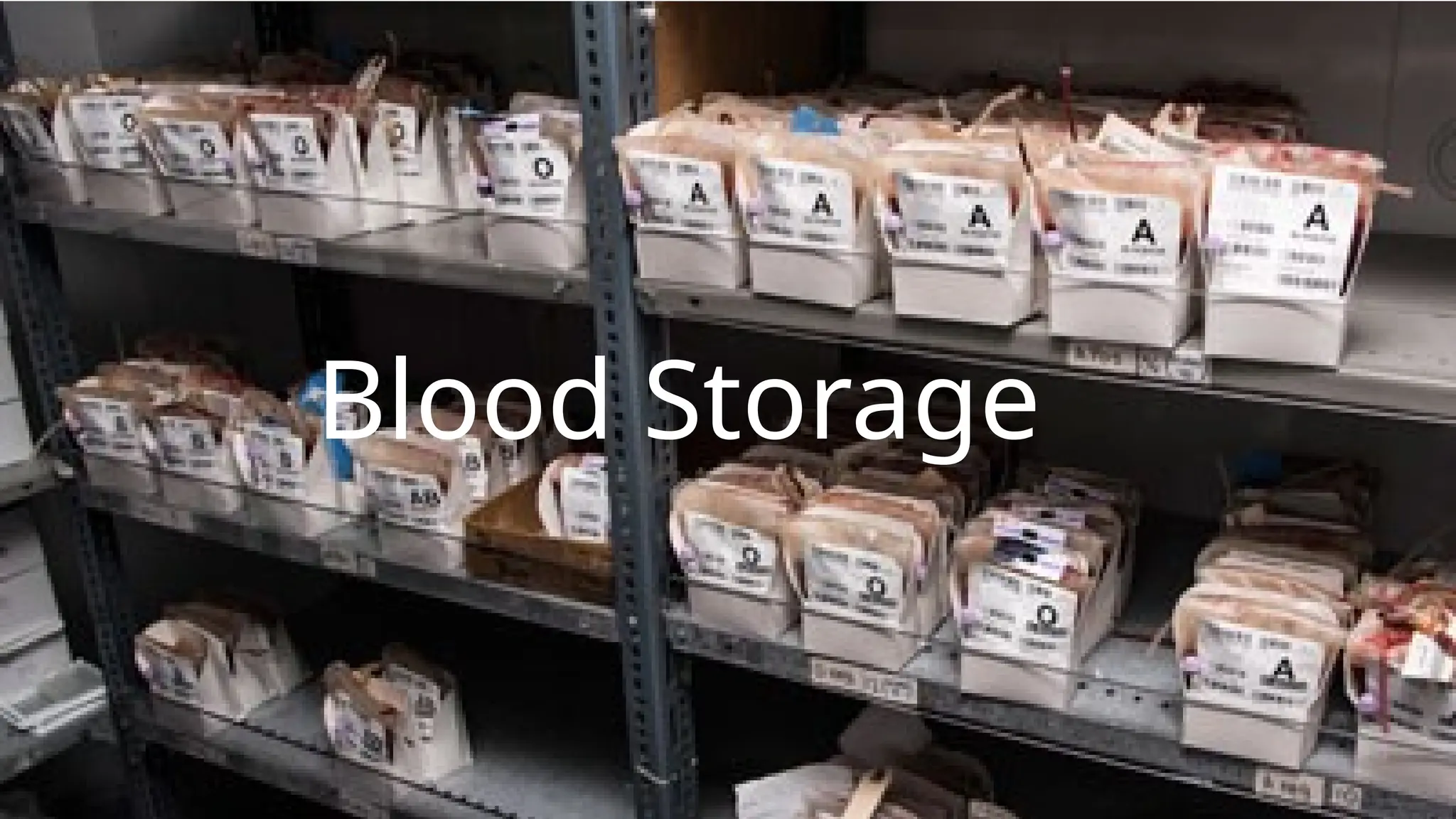 Comprehensive Overview of Blood Bank Operations: Exploring Blood ...