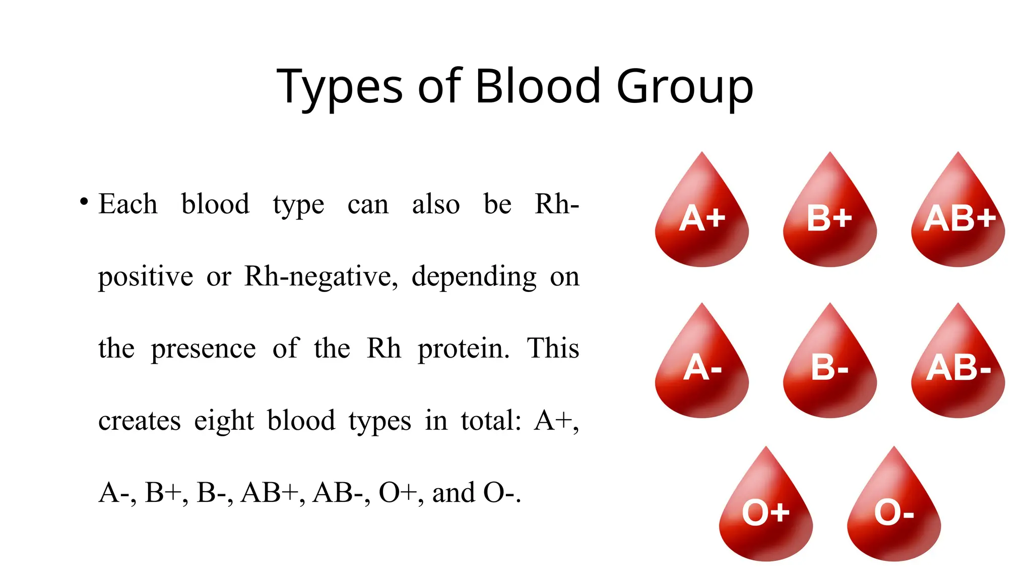 Comprehensive Overview of Blood Bank Operations: Exploring Blood ...