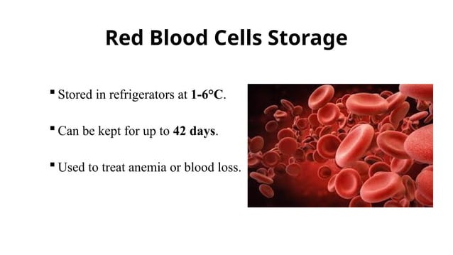 Comprehensive Overview of Blood Bank Operations: Exploring Blood ...