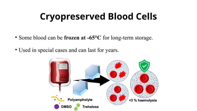 Comprehensive Overview of Blood Bank Operations: Exploring Blood ...