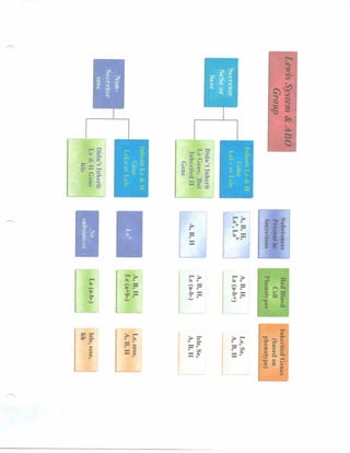 Blood banking portfolio | PDF