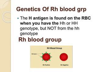 blood banking slides. Slideshare....pptx