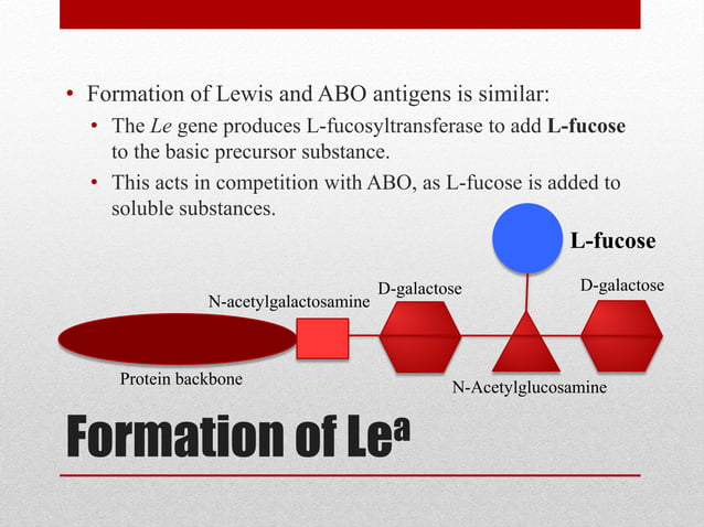 Blood Banking Lewis Blood Group System.pdf | Blood Disorders | Diseases ...