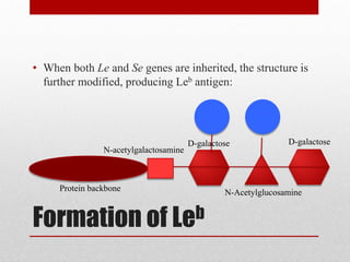 Blood Banking Lewis Blood Group System.pdf