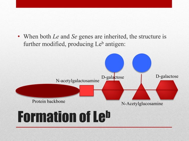 Blood Banking Lewis Blood Group System.pdf | Blood Disorders | Diseases ...