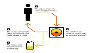 BLOOD BANK PPT 1.pptx