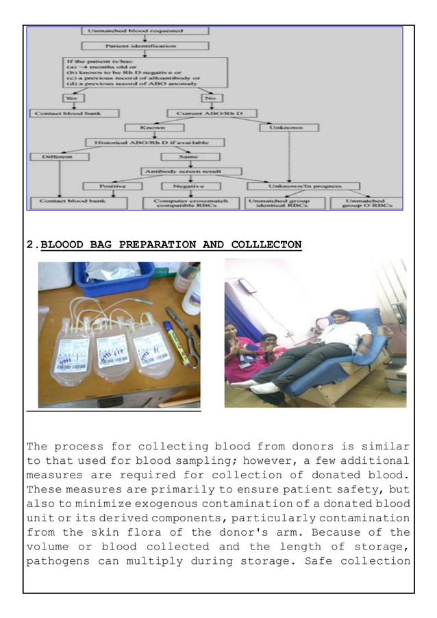 Blood bank report | DOCX