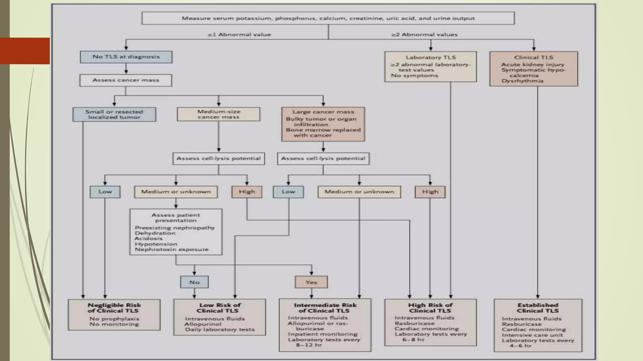 Blood Basics TLS.pptx