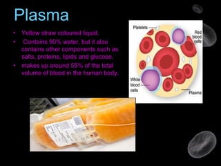 Blood and Blood Vessels | PPT