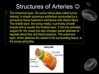 Blood and Blood Vessels | PPT