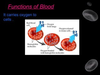 Blood and Blood Vessels | PPT