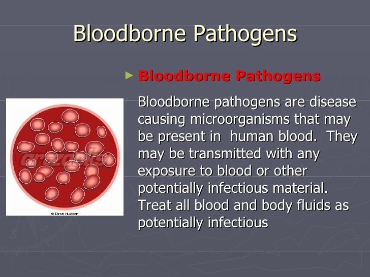 Bloodborne Pathogens