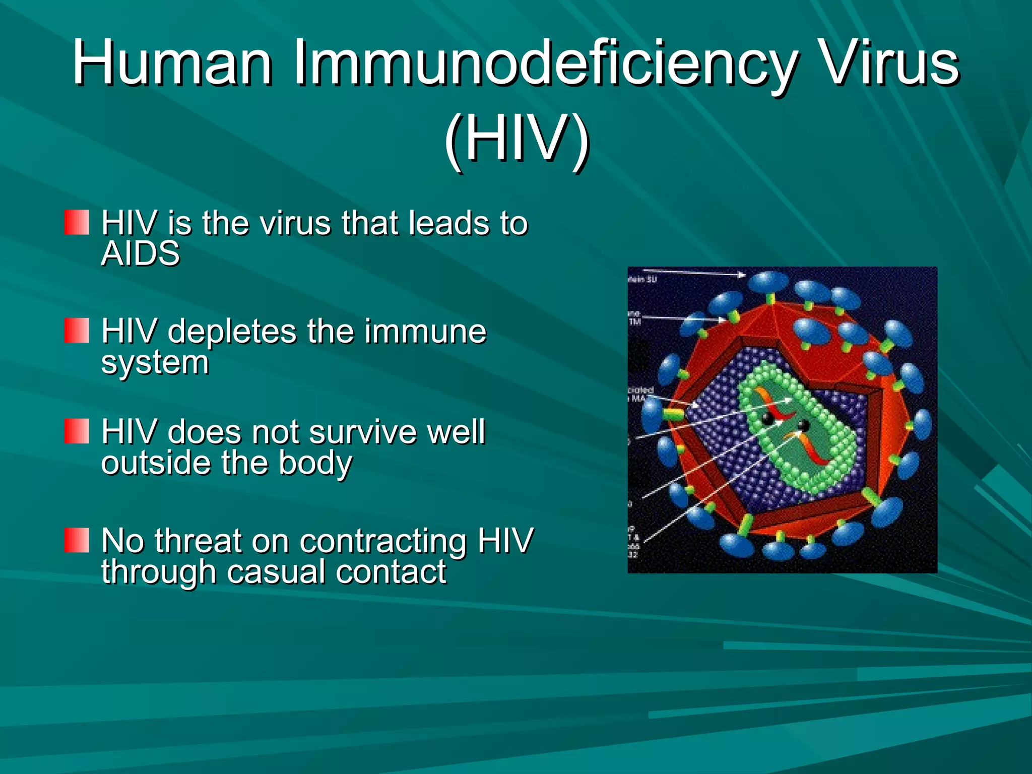 Bloodborne Pathogens Awareness Training | PPT