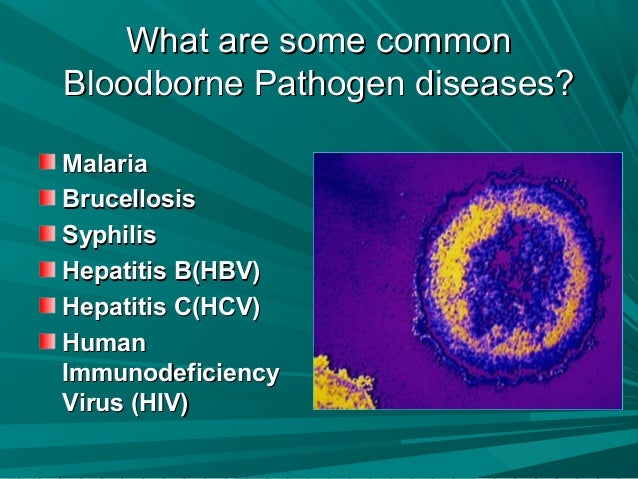 Bloodborne Pathogens Awareness Training