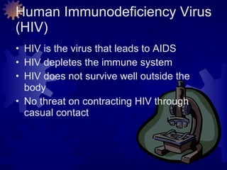 Bloodborne pathogens | PPT