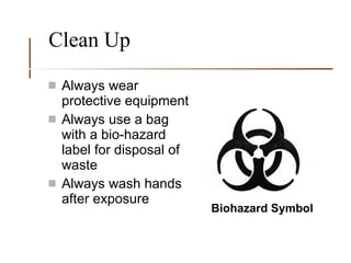 Bloodborne Pathogens | PPT