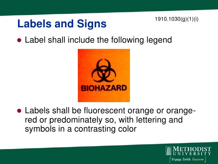 MU Bloodborne pathogens