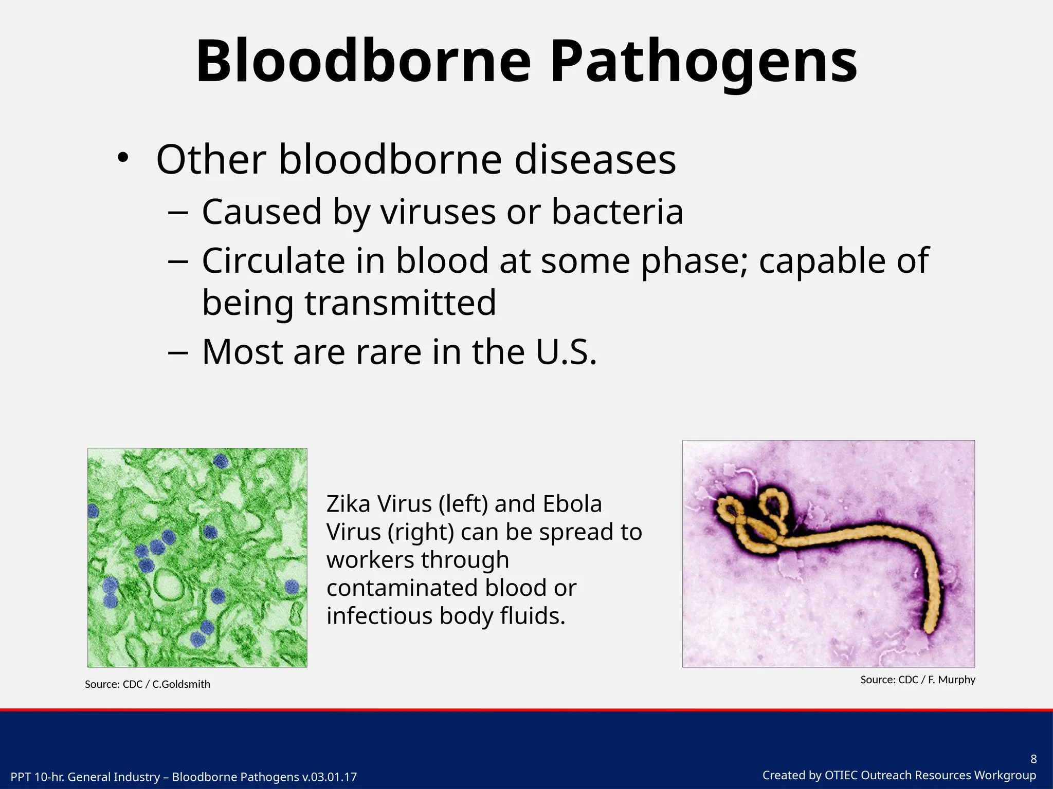 Bloodborne Pathogens training powerpoint presentation | PPTX