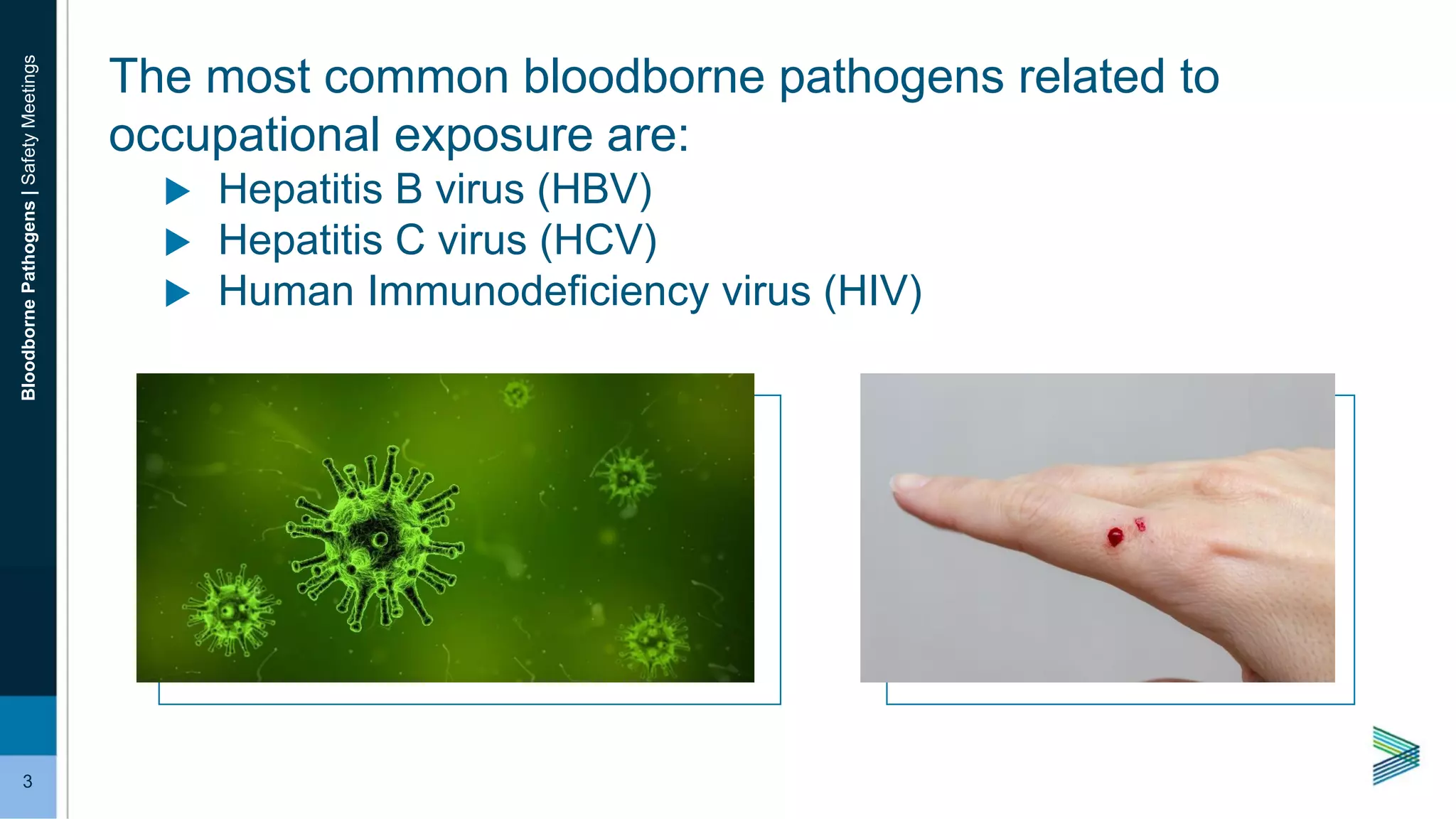 BLOODBORNE PATHOGENS 2022 | PDF