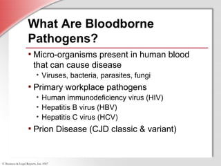 Bloodborne pathogens 5 09 | PPT