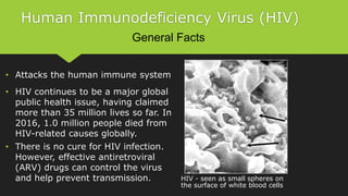 Bloodborne Pathogens - Diseases and Transmission | PPTX