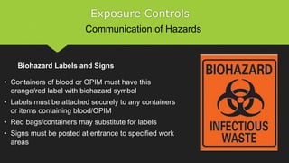 Bloodborne Pathogens - Diseases and Transmission | PPTX