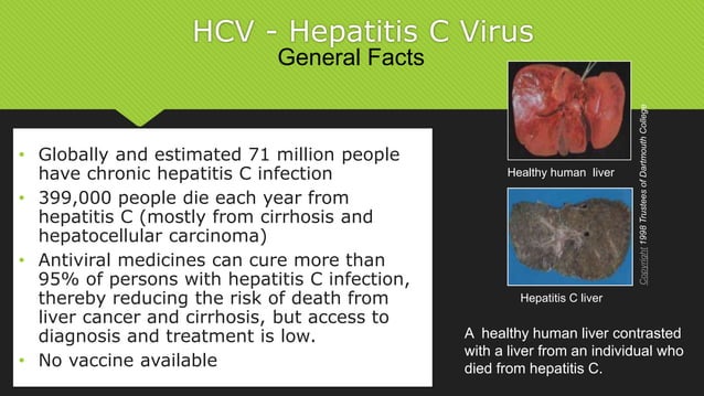 Bloodborne Pathogens - Diseases and Transmission | PPTX | Infectious ...