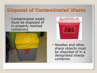 Bloodborne Pathogens Training | PPT