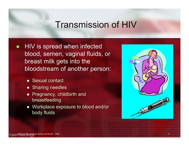 Bloodborne Pathogens | PDF | Infectious Diseases | Diseases and Conditions