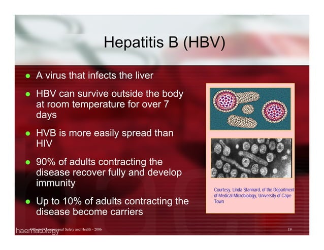 Bloodborne Pathogens | PDF | Infectious Diseases | Diseases and Conditions