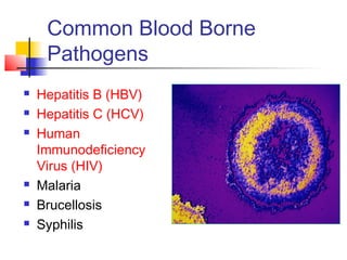 Bloodborne pathogen training | PPT | First Aid | Injuries