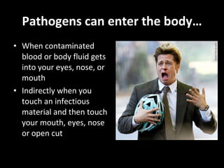 Blood Borne Pathogen Training | PPT