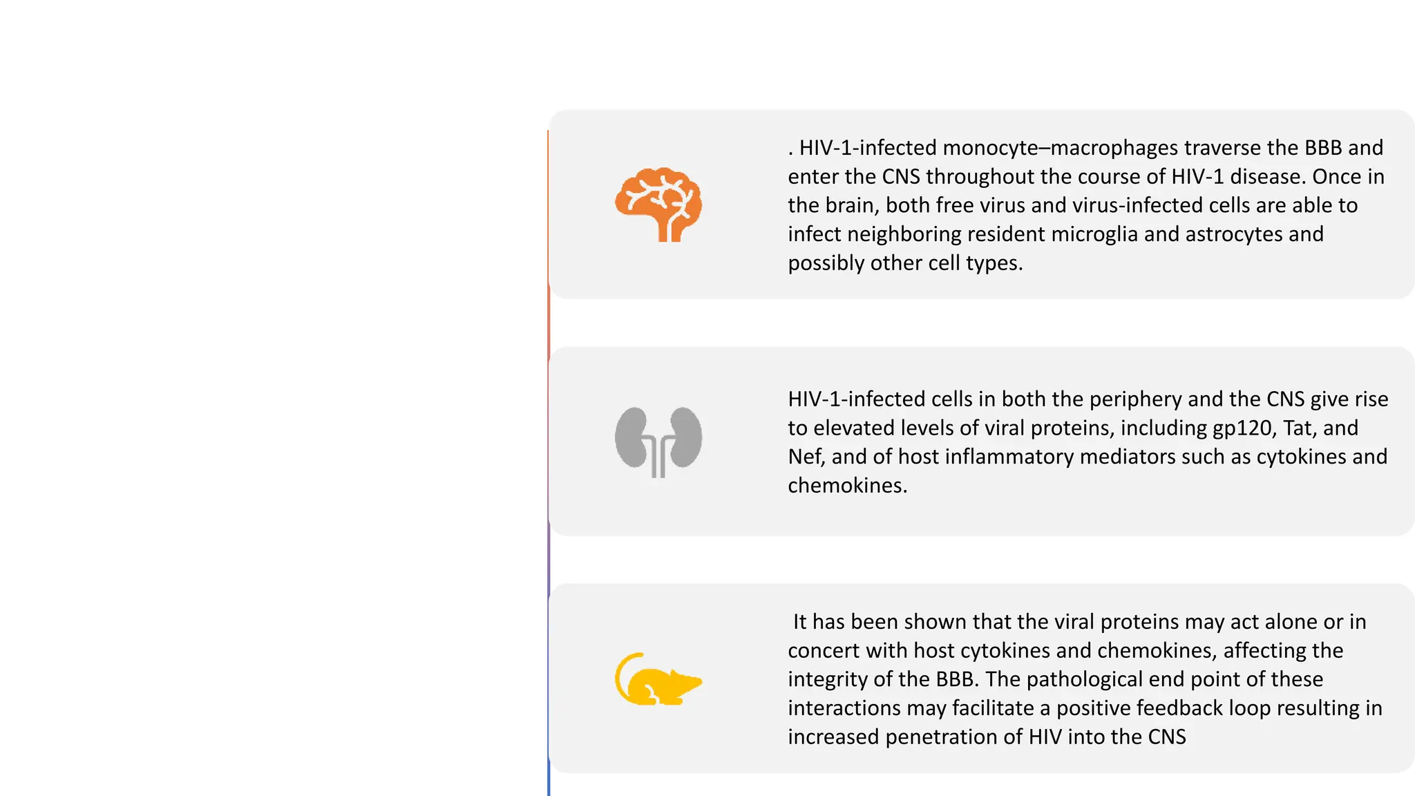 blood–brain barrier and uses of blood components as diagnostic tools.pptx