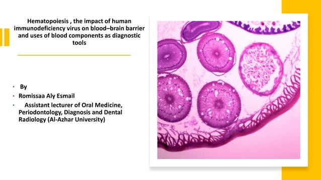 blood–brain barrier and uses of blood components as diagnostic tools.pptx