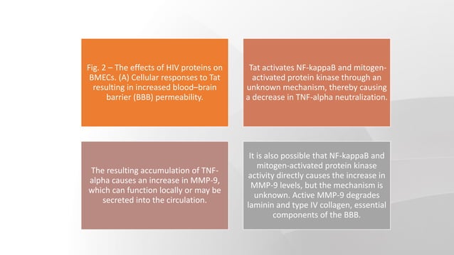 blood–brain barrier and uses of blood components as diagnostic tools.pptx