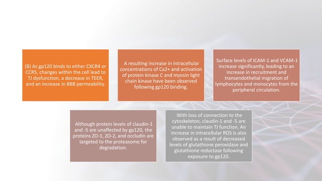 blood–brain barrier and uses of blood components as diagnostic tools.pptx