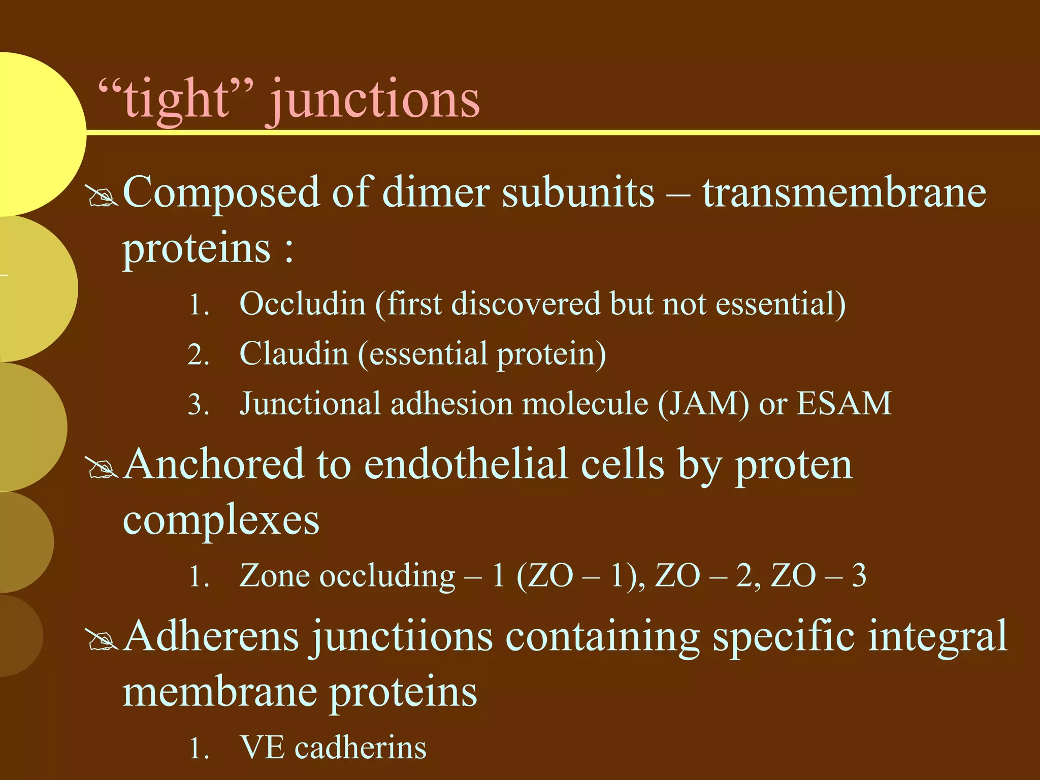 Blood brain barrier | PPTX