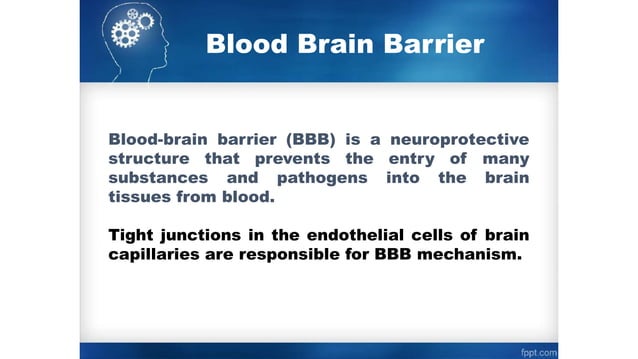 PHYSIOLOGY OF BLOOD BRAIN BARRIER(BBB).pptx