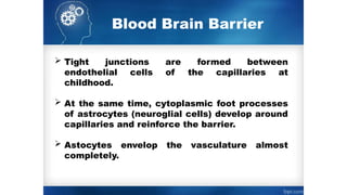 PHYSIOLOGY OF BLOOD BRAIN BARRIER(BBB).pptx