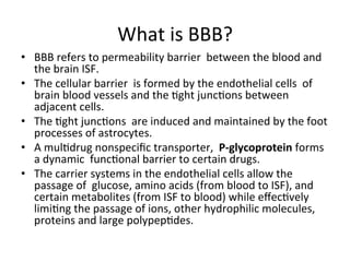 Blood brain barrier 2013_nw | PDF