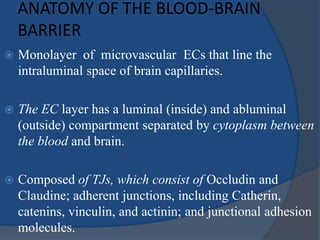 Blood brain barrier ajay | PPTX
