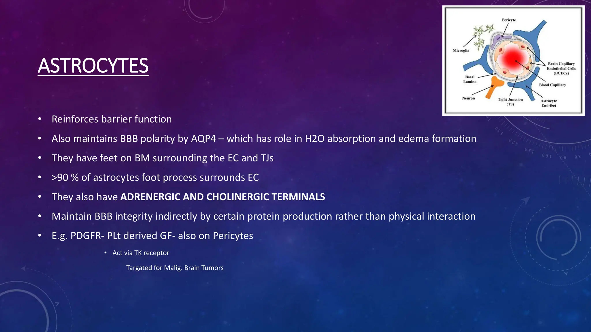 Blood Brain Barrier And Clinical Application.pptx