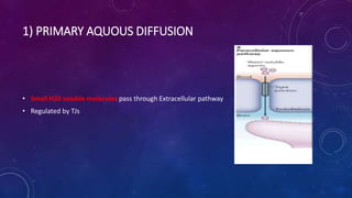 Blood Brain Barrier And Clinical Application.pptx