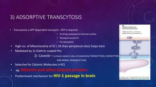 Blood Brain Barrier And Clinical Application.pptx