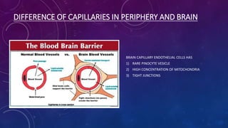 Blood Brain Barrier And Clinical Application.pptx