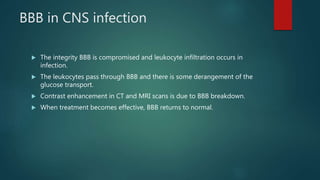 Blood brain barrier | PPTX